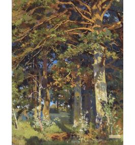 Ivan Shishkin - Hand Painted Pictures - Realism - Large Size Custom ...