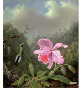 Martin Johnson Heade - Hand Painted Canvas Oil Painting - Luminism ...