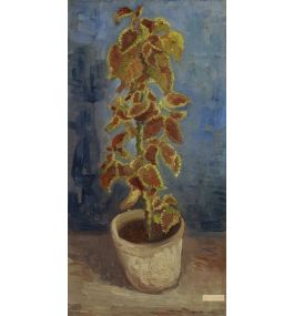 Van Gogh - Reproducciones de Pintura al Óleo - Realismo ...